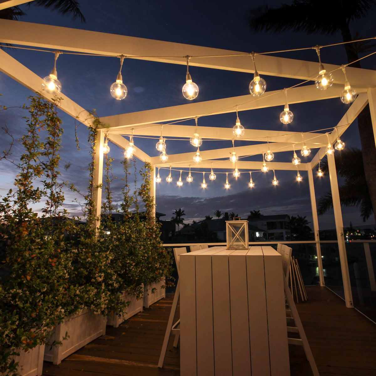 Festoon Lights – Decorative Lighting Company